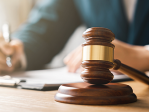 Premium Database for Royalty Rates and License Agreements